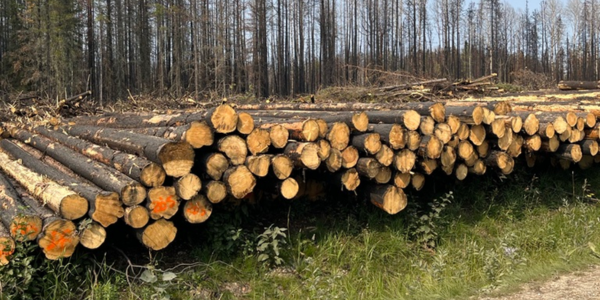 Wildfire Field Tour with Weyerhaeuser